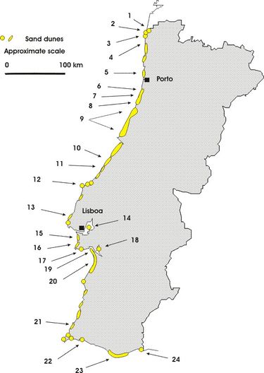 Sand dune - Country Report, Portugal - Coastal Wiki