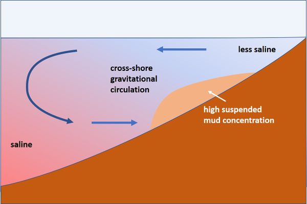 Coastal mud belt - Coastal Wiki